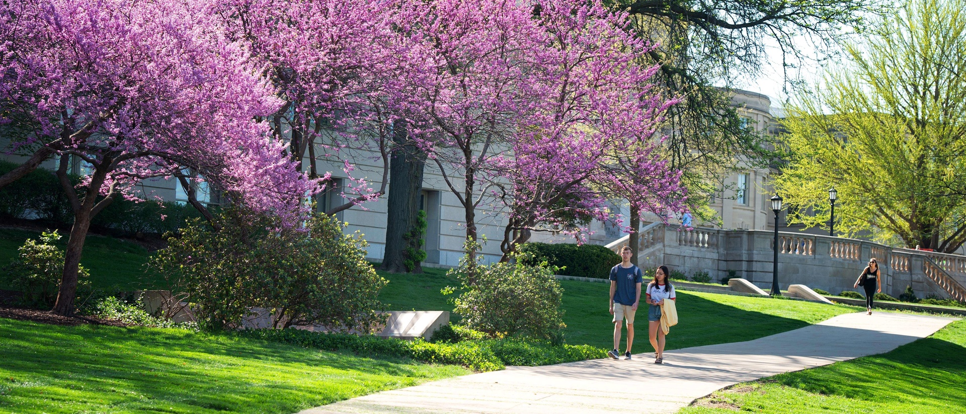 Tree Tours | Pentacrest Museums - The University of Iowa