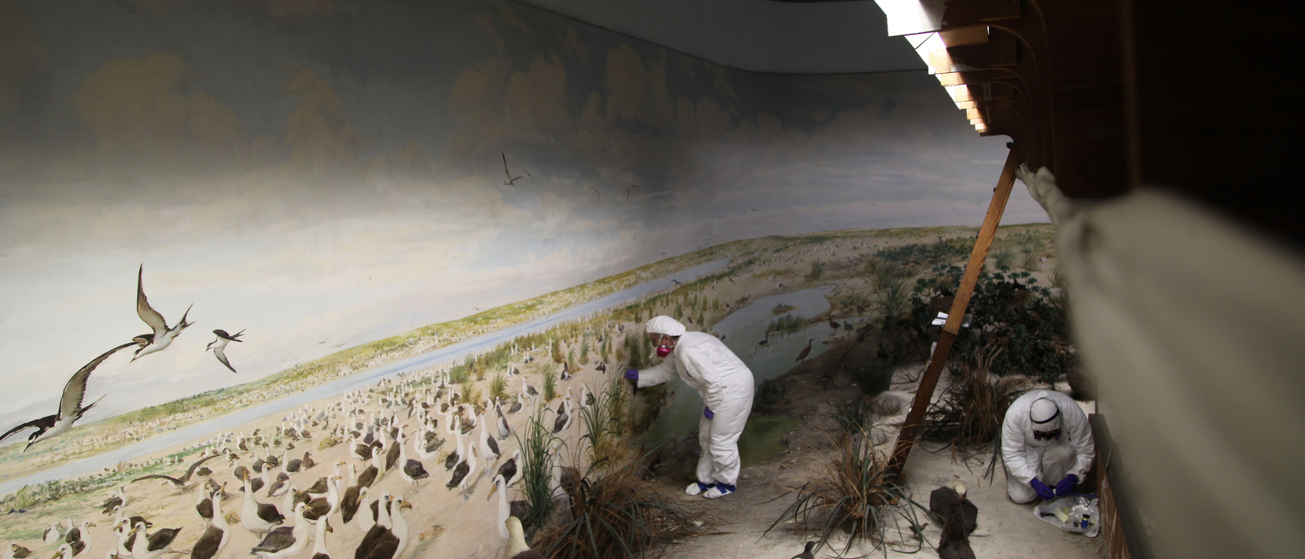 Museum Conservation Assessment | Pentacrest Museums - The University of ...