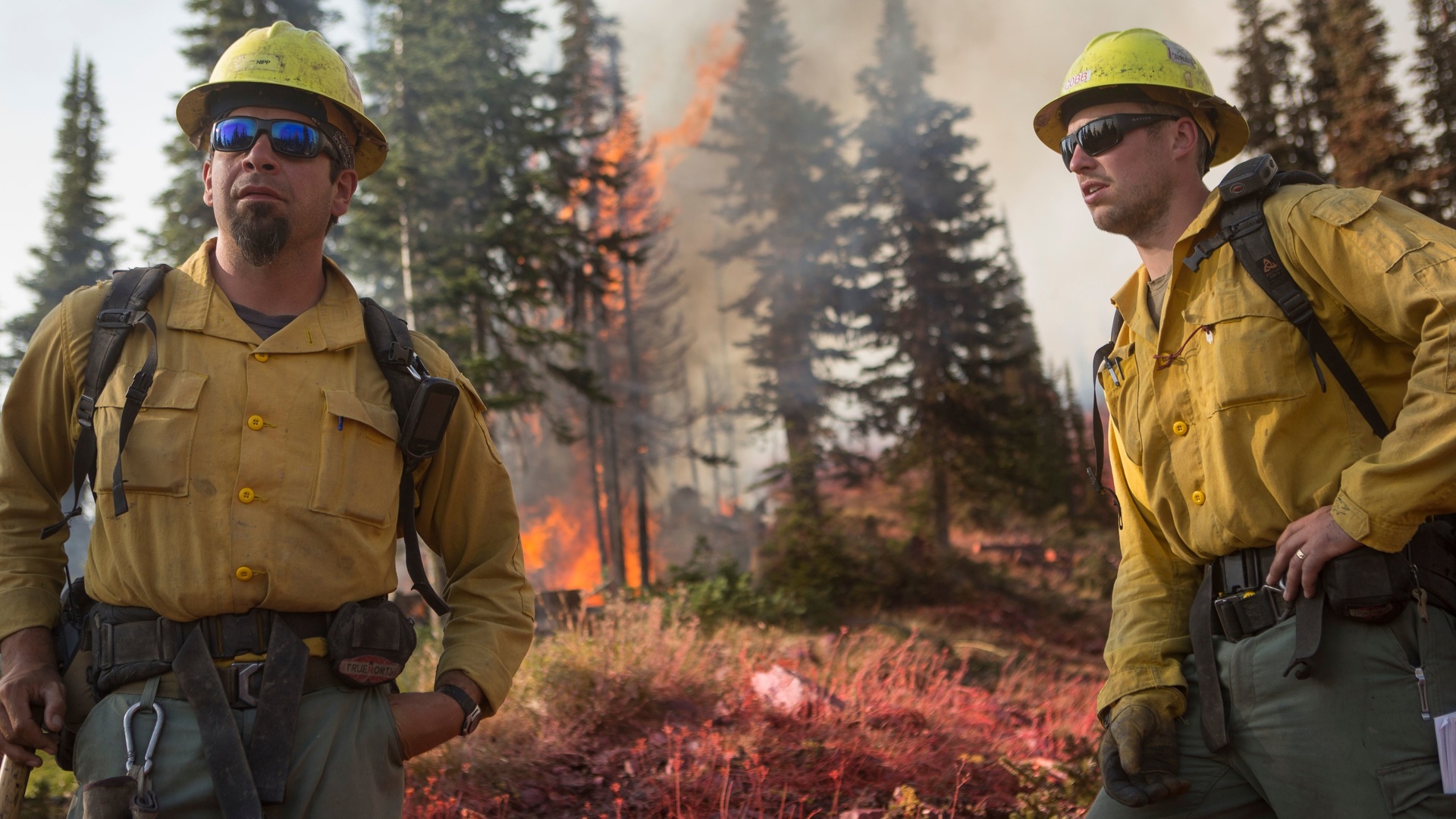 Facing the Inferno: | Pentacrest Museums - The University of Iowa