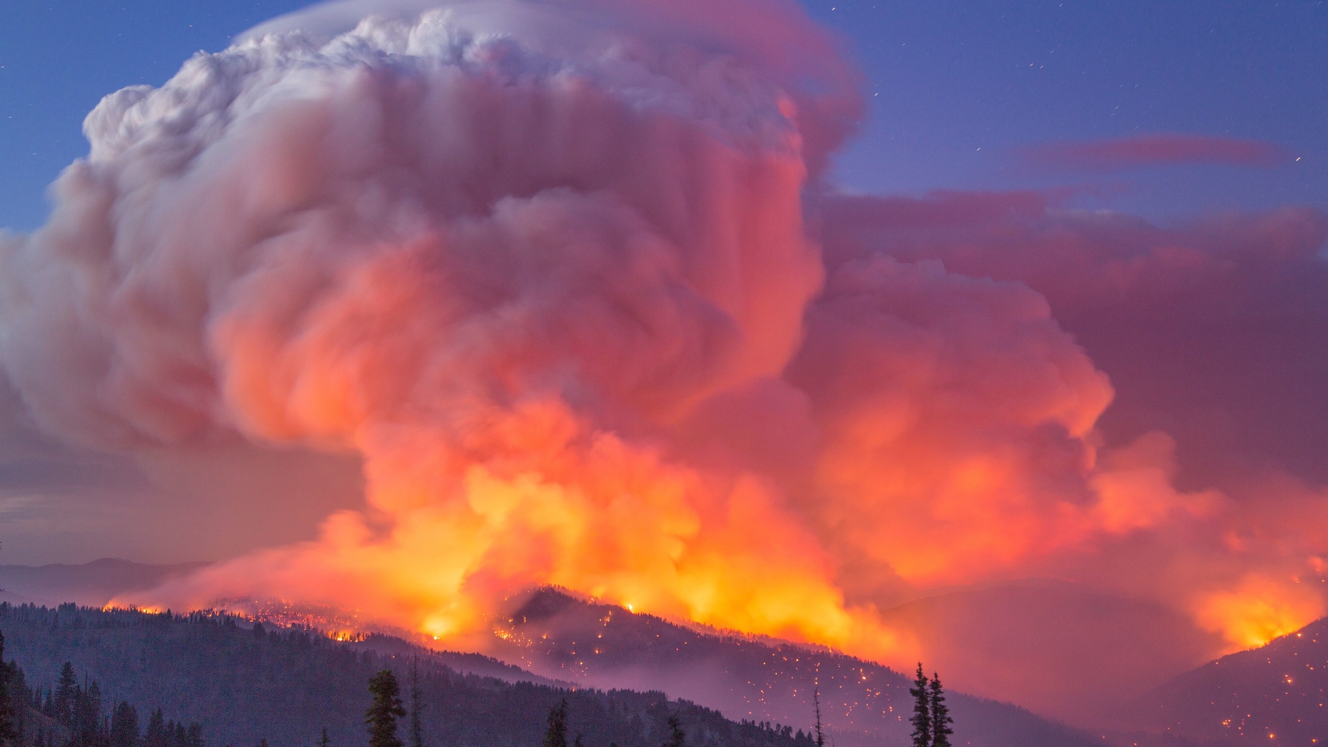 Facing the Inferno: | Pentacrest Museums - The University of Iowa